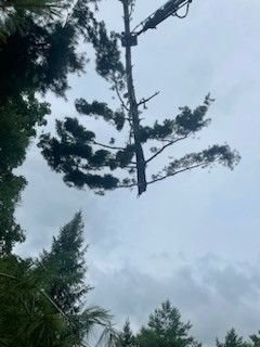 Storm and Disaster Response Clean-Up and Tree Work